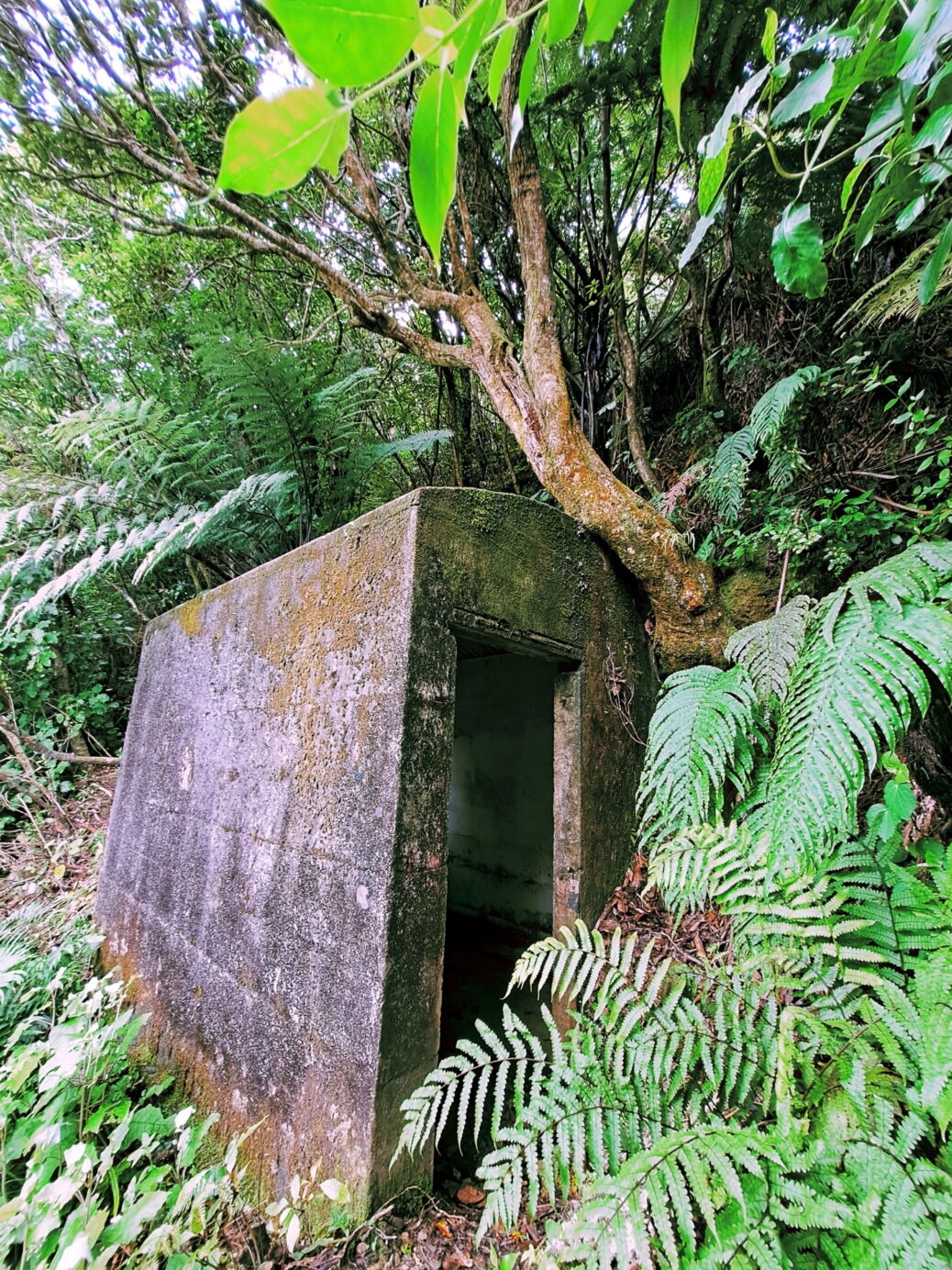 Wainuiomata Regional Park | WAINUIOMATA .NET