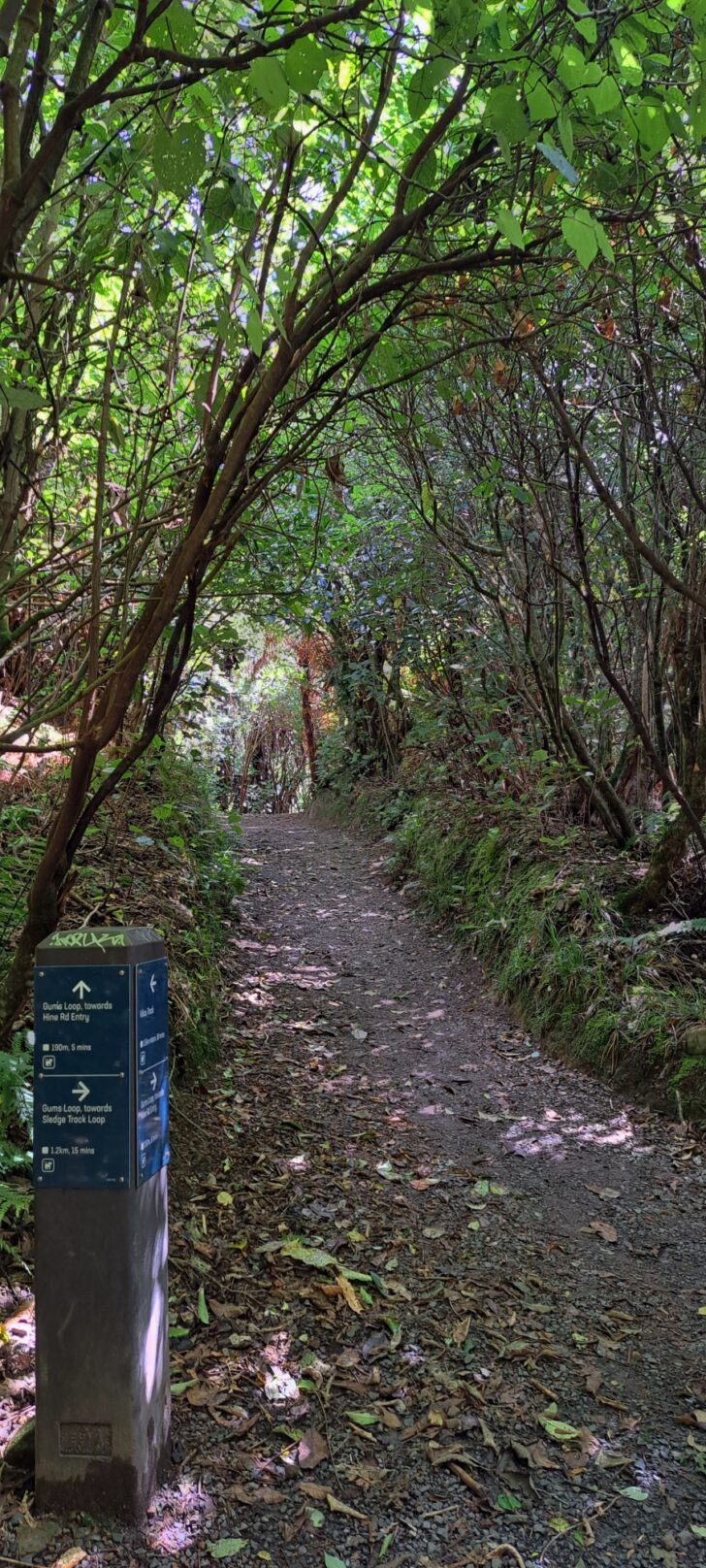 Gums Loop Walk | WAINUIOMATA .NET