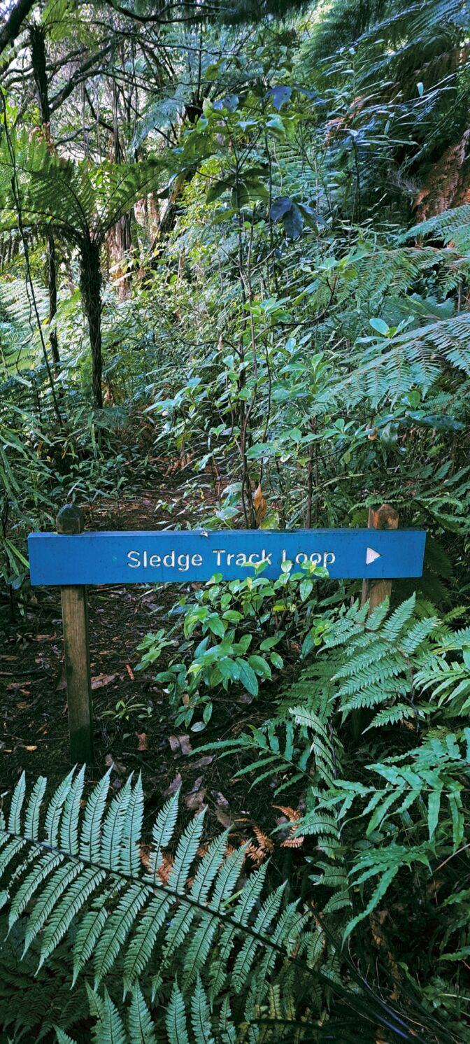 Sledge Track | WAINUIOMATA .NET