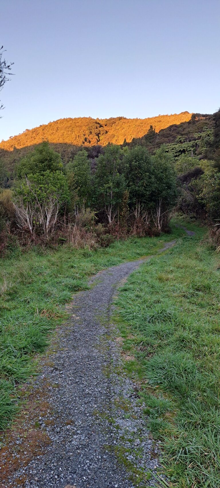 Sledge Track | WAINUIOMATA .NET