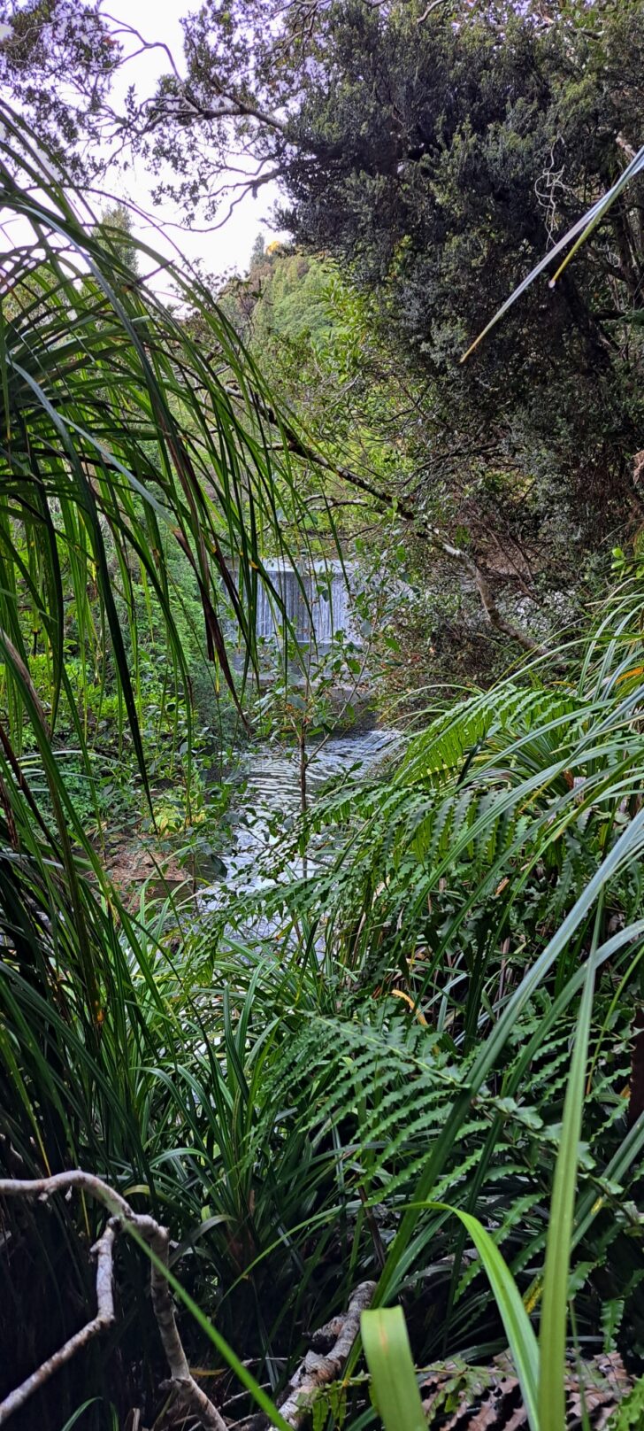 Lower Dam | WAINUIOMATA .NET