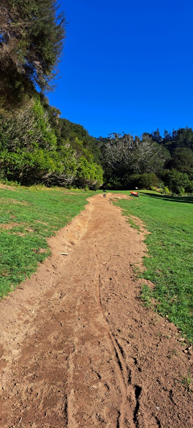 New Extension for Gums Loop | WAINUIOMATA .NET
