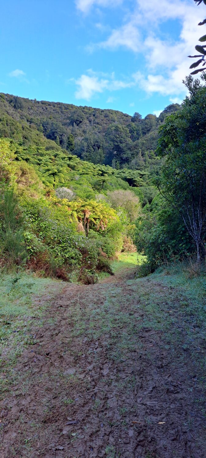 Camp Wainui | WAINUIOMATA .NET