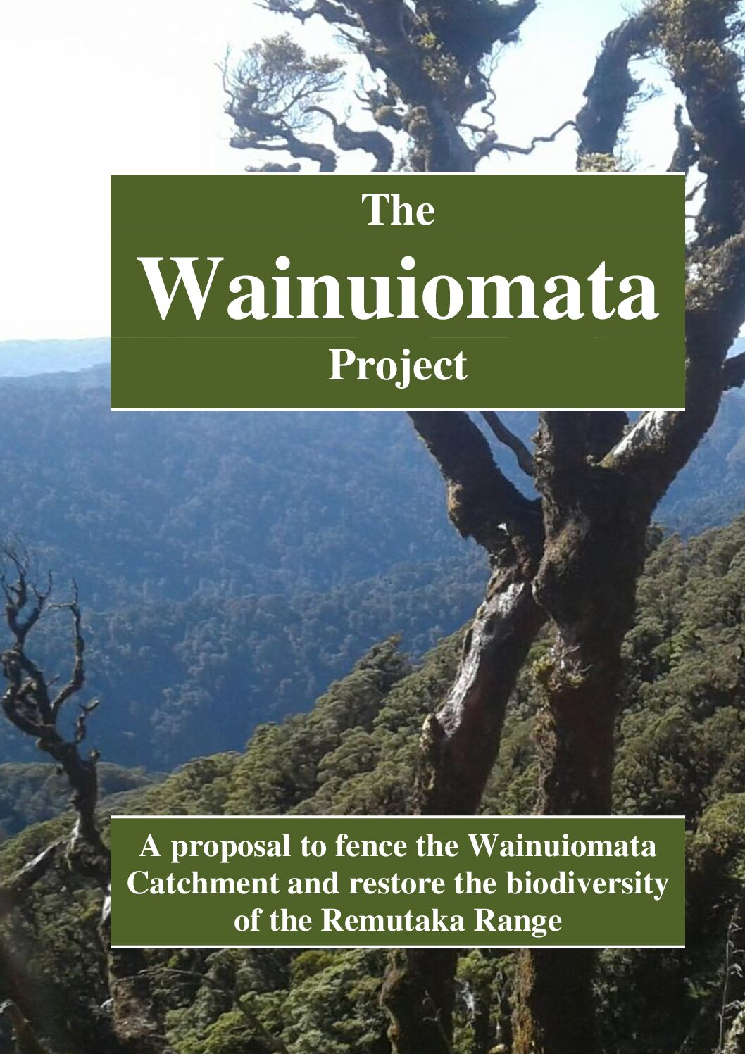 The Wainuiomata Project | WAINUIOMATA .NET