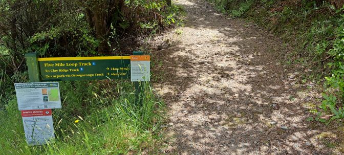 Five Mile Loop Track | WAINUIOMATA .NET